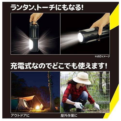ハタヤリミテッド ハタヤ 充電式殺虫器 電撃！ちょこっと DGK-1B : ファーストヤフー店 - 通販 - Yahoo!ショッピング
