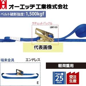 OH(オーエッチ工業) 荷締機 ラッシングベルト LBR100 E45 ラチェットバックル 端末金具：エンドレス ベルト長さ：固定側-/巻取側 ...
