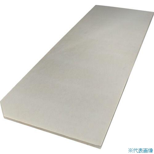 TRUSCO テクセルSAINT使用防音パネル Shizumare用内側グラスウール 1枚 RG18(2577911)[送料別途お見積り][法人限定] : ファーストヤフー店 - 通販 ...