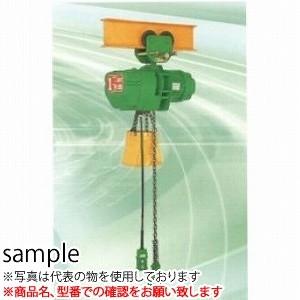 二葉製作所 電気チェーンブロックFHP型FHP-1T 3M 4PBS : ファーストヤフー店 - 通販 - Yahoo!ショッピング