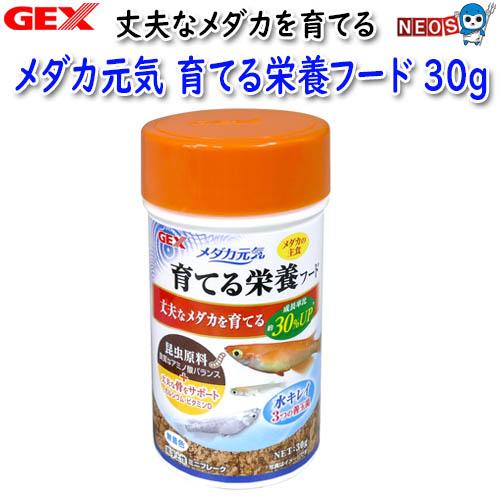 GEX GEX メダカ元気 育てる栄養フード 30g : 熱帯魚通販のネオス - 通販 - Yahoo!ショッピング