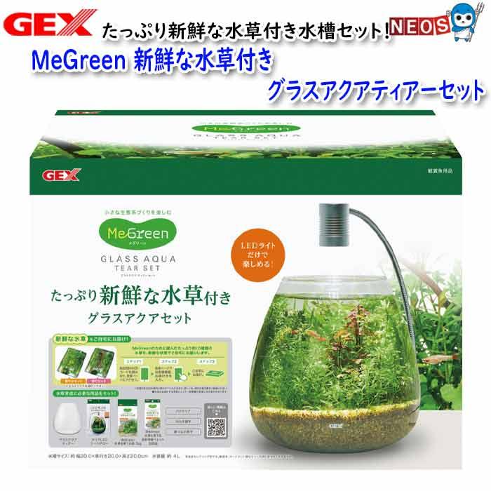 GEX MeGreen 新鮮な水草付き グラスアクアティアーセット : 熱帯魚通販のネオス - 通販 - Yahoo!ショッピング