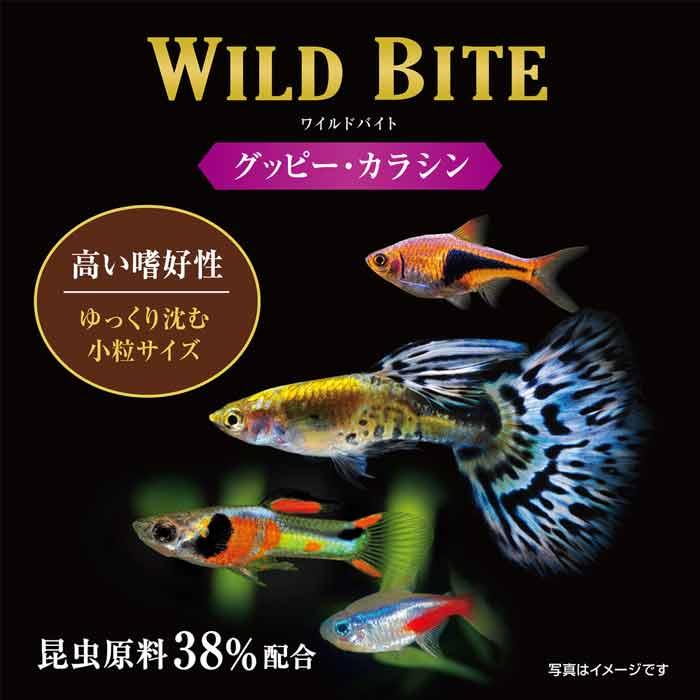GEX ワイルドバイト グッピー・カラシン 45g : 熱帯魚通販のネオス - 通販 - Yahoo!ショッピング