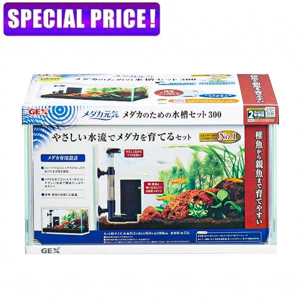 GEX 【日曜闇市】GEX メダカ元気 メダカのための水槽セット 300 : 熱帯魚通販のネオス - 通販 - Yahoo!ショッピング