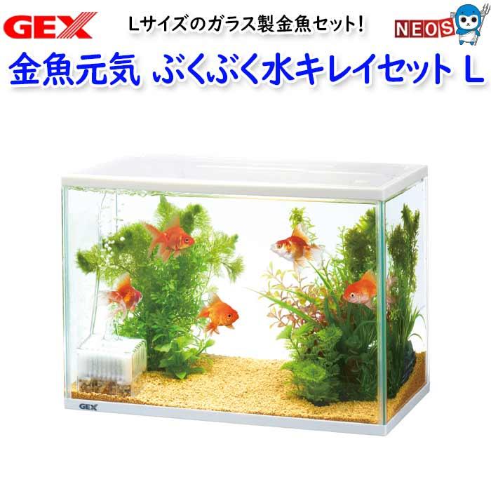 GEX GEX 金魚元気 ぶくぶく水キレイセットL : 熱帯魚通販のネオス - 通販 - Yahoo!ショッピング