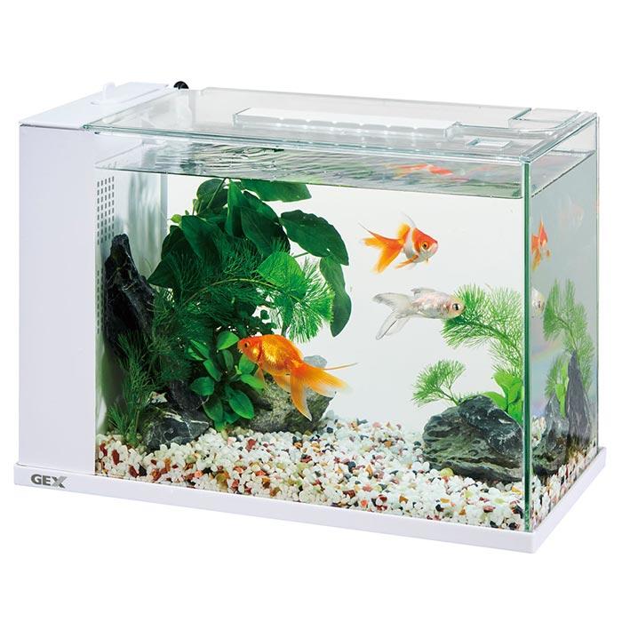 GEX GEX アワーズ ホワイト : 熱帯魚通販のネオス - 通販 - Yahoo!ショッピング