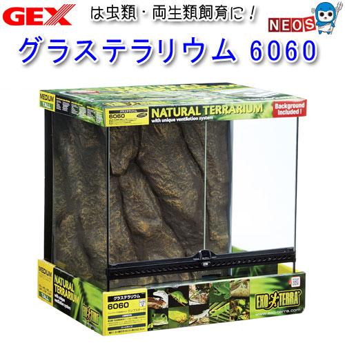 GEX GEX グラステラリウム 6060 PT2612 【大型送料要】【取寄せ商品】 : 熱帯魚通販のネオス - 通販 - Yahoo!ショッピング