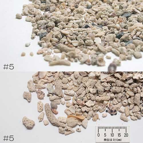 (アクアリウム 用品)JUN プラチナリーフサンド No.5 中目 5kg (取寄商品) 水槽/熱帯魚/観賞魚/飼育/生体/通販/アクアリウム : jun20230331-64 : 熱帯魚通販 ...