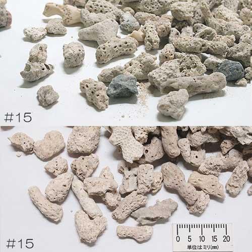 ジュン(ペット用品) (アクアリウム 用品)JUN プラチナリーフサンド No.15 粗目大 5kg (取寄商品) 水槽/熱帯魚/観賞魚/飼育/生体/通販/アクアリウム : 熱帯魚通販のネオス ...