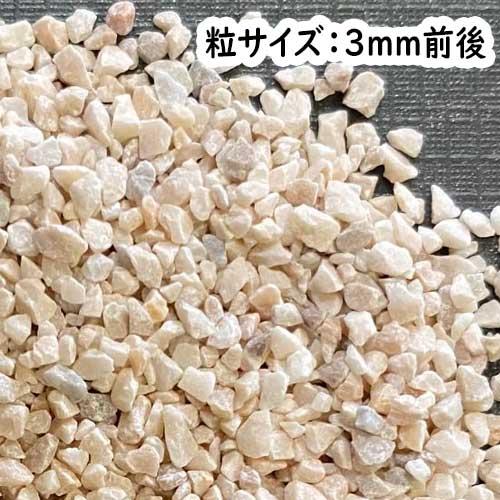 ジュン(ペット用品) (アクアリウム 用品)JUN 極上サンゴ砂 No.3 5kg (取寄商品) 水槽/熱帯魚/観賞魚/飼育/生体/通販/アクアリウム : 熱帯魚通販のネオス - 通販 ...