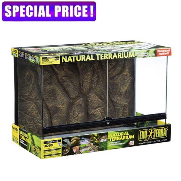 【日曜闇市】GEX グラステラリウム 9060 PT2614 : week-a0182 : 熱帯魚通販のネオス - 通販 - Yahoo!ショッピング