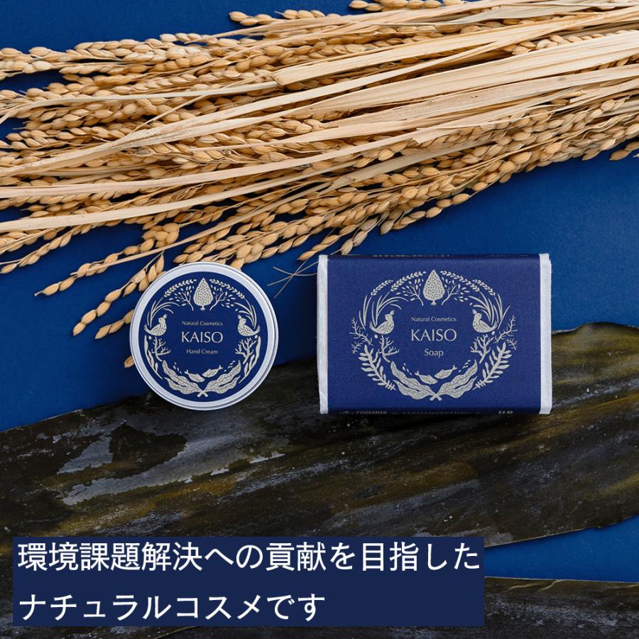KAISO Soap 海に優しい 天然由来 高保湿 子どもから大人まで使える FISHERMAN JAPAN × URBAN RESEARCH FERMENSTATION : フィッシャーマン ...