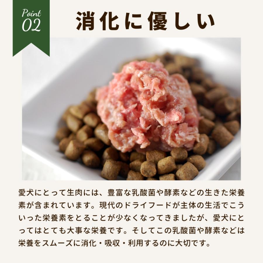 帝塚山ハウンドカム 冷凍便 犬用 国産鶏のネック骨ごとミンチ 1kg [250g×4] 生肉 高齢犬 シニア 子犬 フード ドッグフード ペットフード 酵素 乳酸菌 低カロリー 肉 : ペット ...