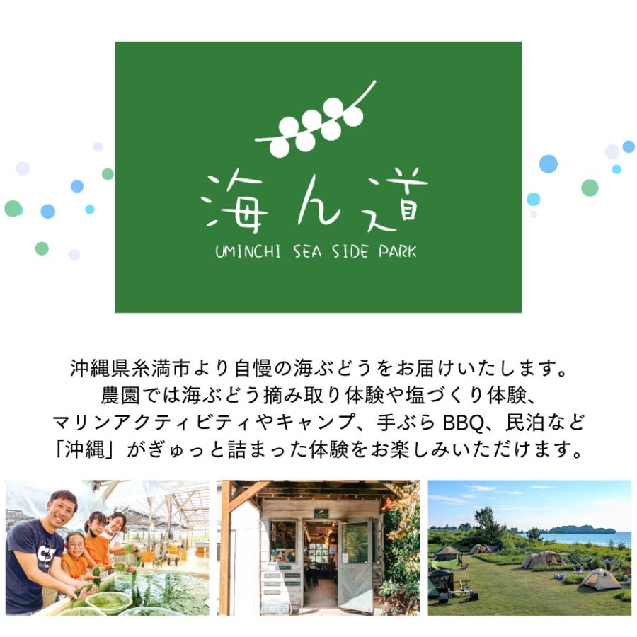 ふくらむぷちぷち海ぶどう ぷちシャキサラダタイプ お試し1袋 :nbt-ub-sh1p-0329-z:福田屋百貨店 - 通販 - Yahoo!ショッピング