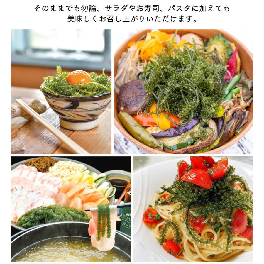 ふくらむぷちぷち海ぶどう ぷちシャキサラダタイプ お試し1袋 :nbt-ub-sh1p-0329-z:福田屋百貨店 - 通販 - Yahoo!ショッピング