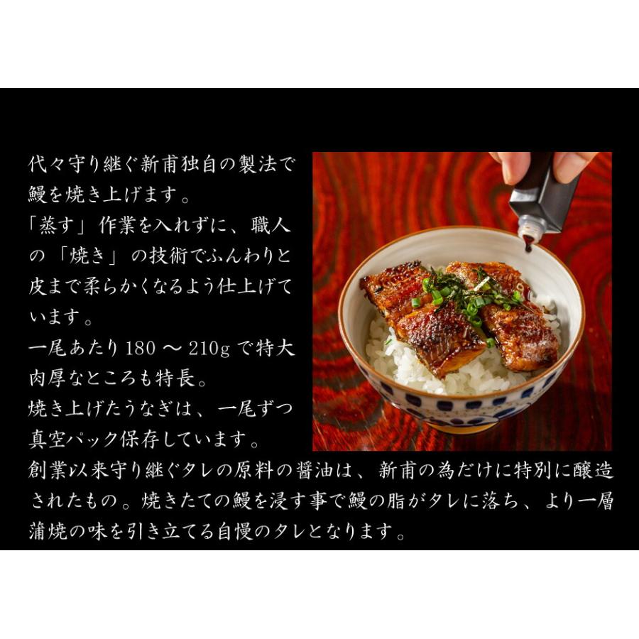 国産 うなぎの蒲焼 二本セット うなぎの新甫 FN13N : 福田屋百貨店 - 通販 - Yahoo!ショッピング