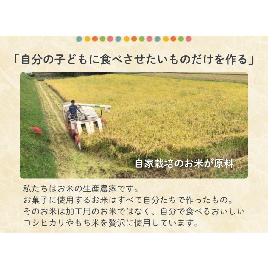 わくわくお米本舗 米農家の薬膳 玄米黒焙煎茶 おためし1袋 :woh-gkbc-1p-0329-z:福田屋百貨店 - 通販 - Yahoo!ショッピング