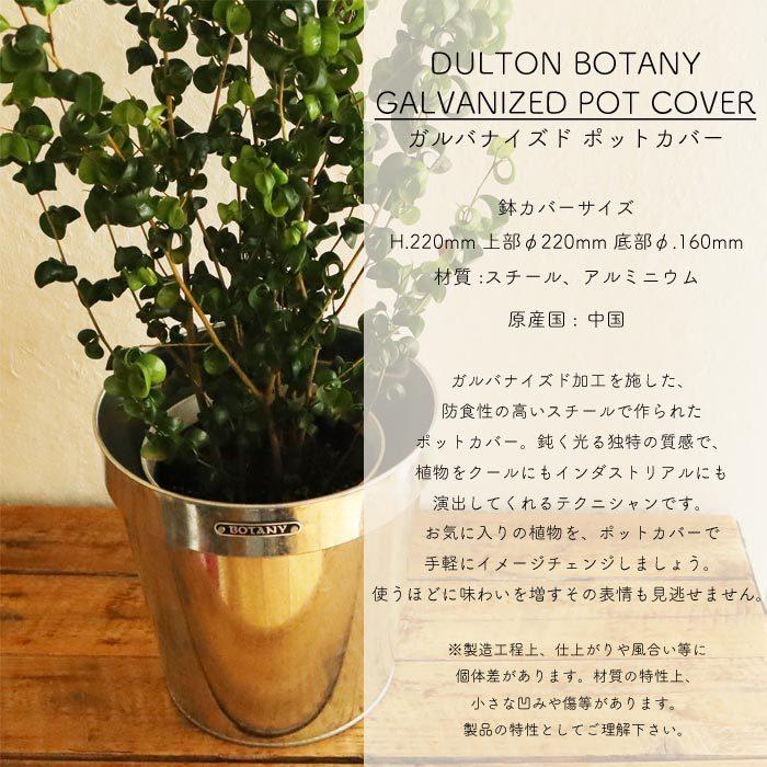 FlowerKitchen ベンジャミン バロック 6号鉢 ダルトン ガルバナイズドポットカバー K865-1095-22 DULTON : FlowerKitchen JIYUGAOKA ...