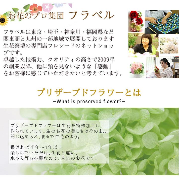 FLABEL 母の日 ギフト 花 プリザーブドフラワー ガラスドーム ナチュラルボトル ＆ ハンドクリームセット 誕生日 プレゼント 退職祝い ...