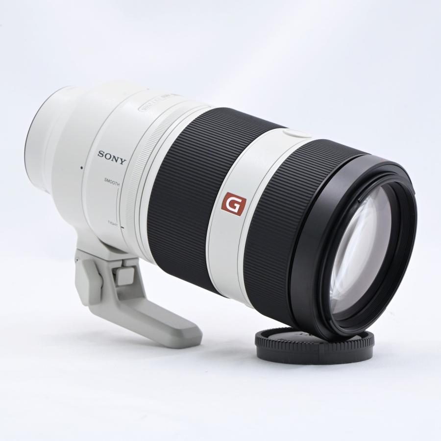 ソニー SONY FE 100-400mm F4.5-5.6 GM OSS SEL100400GM : フラッグシップカメラ - 通販 ...
