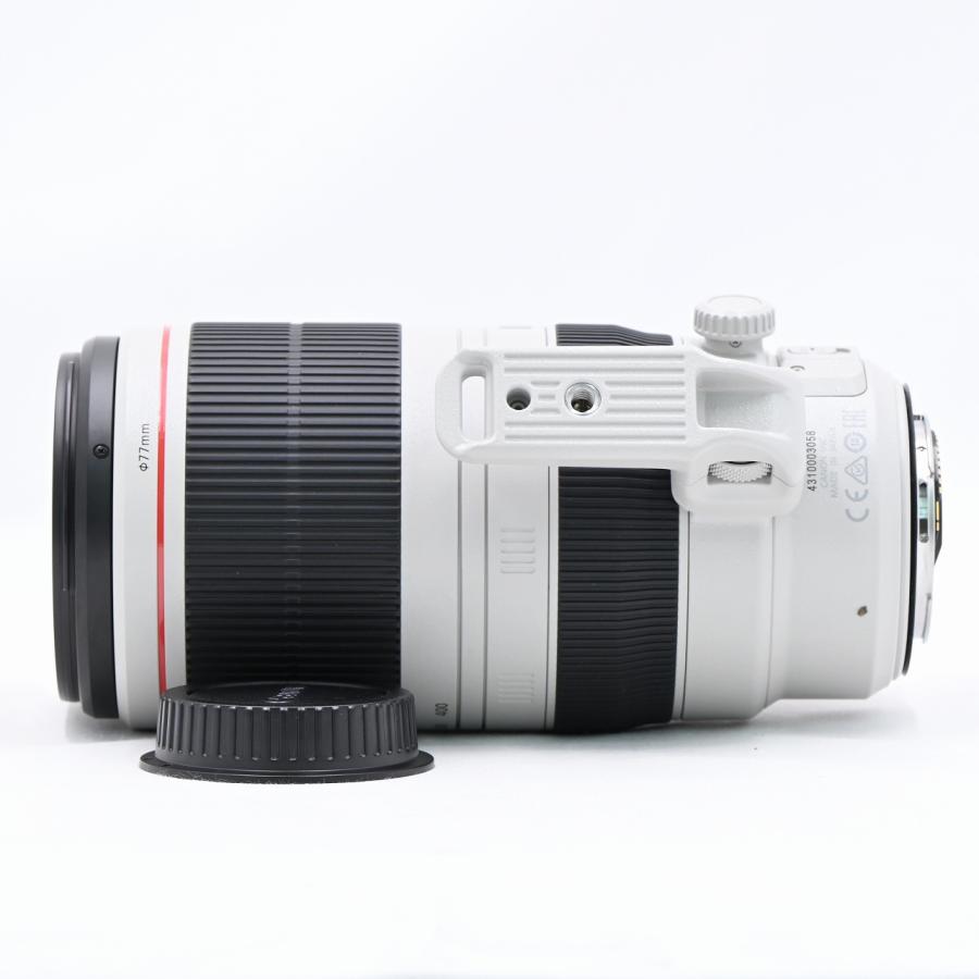 キヤノン Canon EF100-400mm F4.5-5.6L IS II USM : フラッグシップカメラ - 通販 - Yahoo!ショッピング