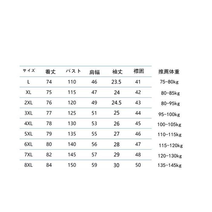 シャツ メンズ 半袖 大きいサイズ L~8XL ぽっちゃりさん ノーアイロン ワイシャツ ビッグサイズ ビジネス カジュ : フラグシップ21 - 通販 - Yahoo!ショッピング