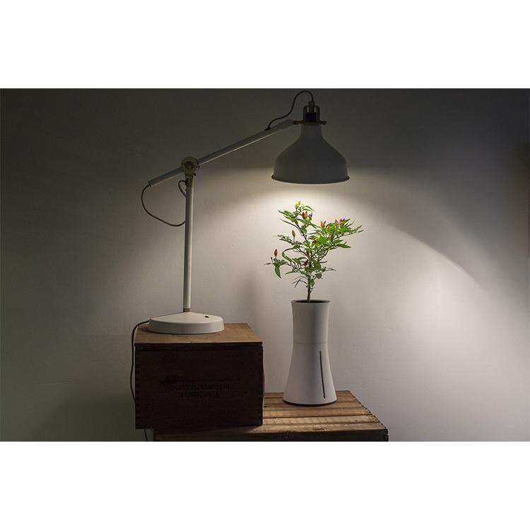 正規販売店 スマート水耕栽培キット ボタニアム Botanium スマート水耕栽培プランター /海外× : flaner - 通販 - Yahoo!ショッピング