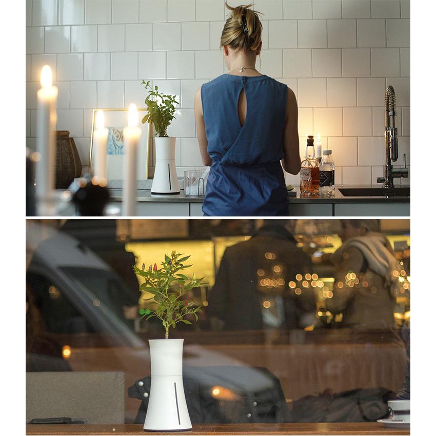 正規販売店 スマート水耕栽培キット ボタニアム Botanium スマート水耕栽培プランター /海外× : flaner - 通販 - Yahoo!ショッピング