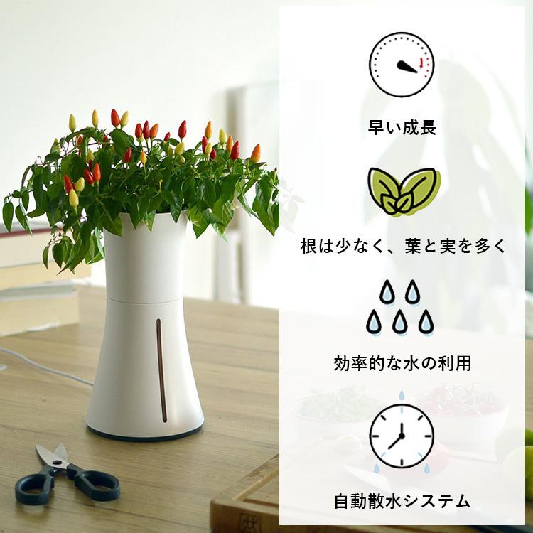 グローイングミディアム・液体栄養素セット スマート水耕栽培キット Botanium ボタニアム スマート水耕栽培プランター /海外× : flaner - 通販 - Yahoo!ショッピング