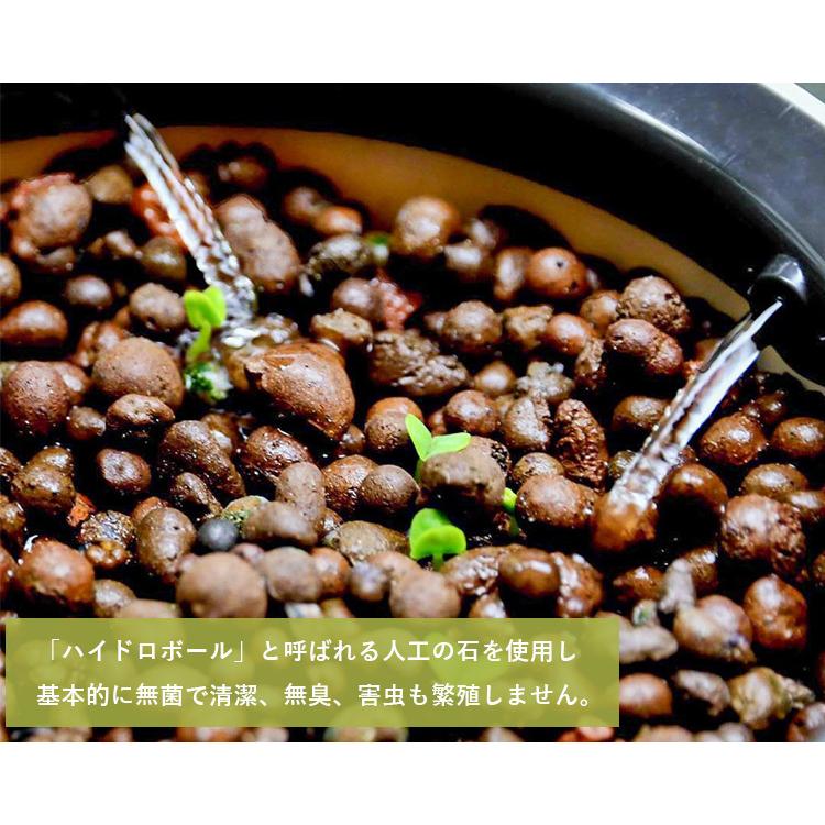 グローイングミディアム・液体栄養素セット スマート水耕栽培キット Botanium ボタニアム スマート水耕栽培プランター /海外× : flaner - 通販 - Yahoo!ショッピング