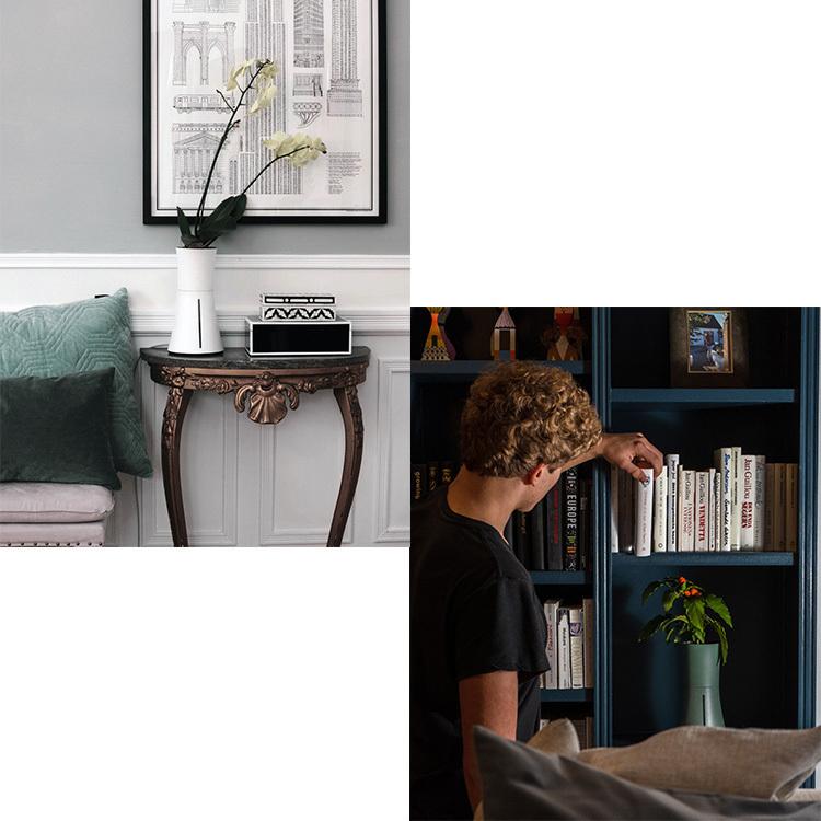 グローイングミディアム・液体栄養素セット スマート水耕栽培キット Botanium ボタニアム スマート水耕栽培プランター /海外× : flaner - 通販 - Yahoo!ショッピング