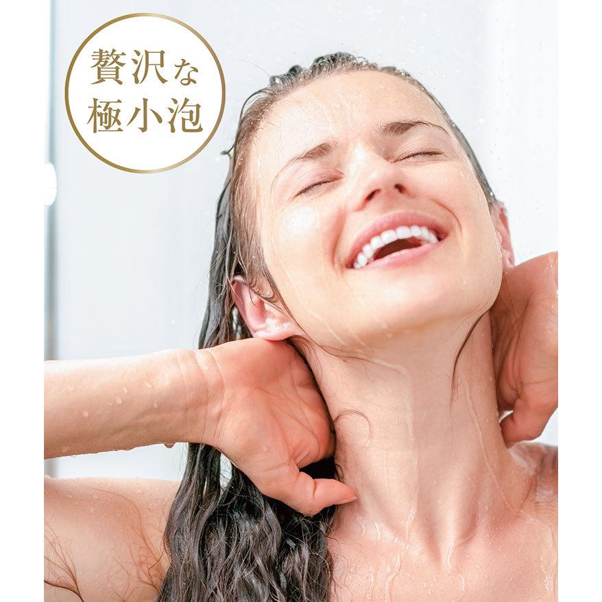 ボリーナ リザイア シルバー シャワーヘッド ウルトラファインバブル TK-7150-SL Bollina Risaia : flaner - 通販 - Yahoo!ショッピング