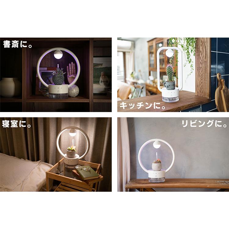 正規販売店 EPEIOS TANIQUE （タニーク） EPGL001 植物育成ライト 多肉植物を飾るテーブルランプ 多肉植物ライト エペ ...