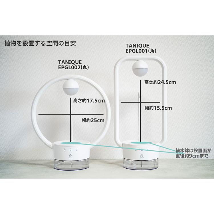 正規販売店 EPEIOS TANIQUE （タニーク） EPGL001 植物育成ライト 多肉植物を飾るテーブルランプ 多肉植物ライト エペ ...