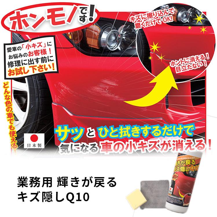 2個セット 業務用 輝きが戻る キズ隠し Q10 250g×2 擦り込んで磨くだけ！ SANKI /海外× : f10023117 : flaner - 通販 - Yahoo!ショッピング
