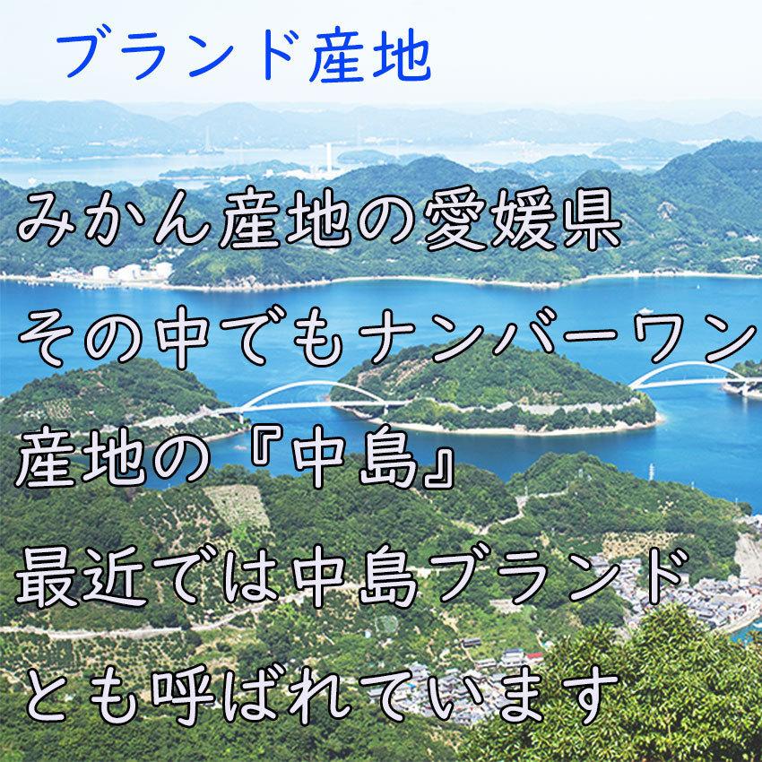 紅まどんな お歳暮 愛媛県産 匠と極 1.2kg 2L〜3Lサイズ JAえひめ中央 光センサー選科 進物 御歳暮 ギフト 熨斗 のし 贈答 御礼 プレゼント 指定日OK 送料無料 ...