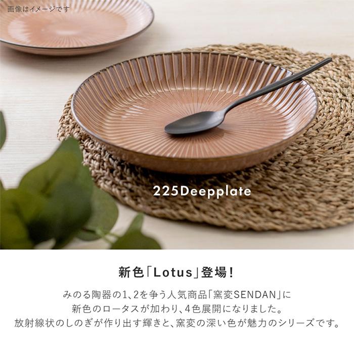 美濃焼 窯変SENDAN 225ディーププレート 食器 皿 日本製 テーブルウェア カレー パスタ 食卓 和食器 器 ** :ck0067-0069-2:Flick Style - 通販 ...
