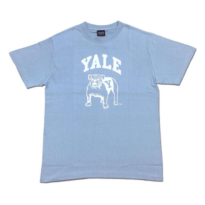 UCLA メール便 YALE University bulldog TEE ブルー イェール ブルドッグ カレッジT Tシャツ カットソー ...