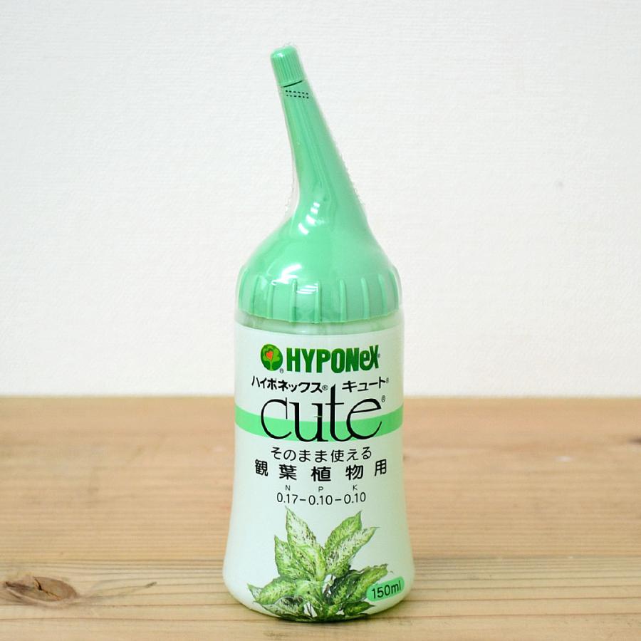 ハイポネックス 液体肥料 キュート そのまま使える観葉植物用 150ml HYPONeX cute 液肥 : フラワーコーポレーション - 通販 - Yahoo!ショッピング