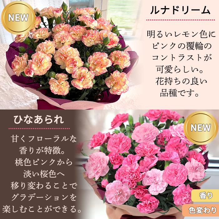 日本花キ流通 \39円OFFクーポン/ 母の日 プレゼント 選べる 日本花キ流通 \39円OFFクーポン/ 母の日 プレゼント 選べる
