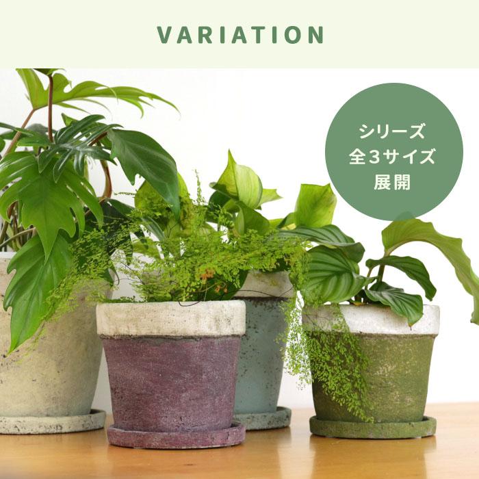 カラーが選べる植木鉢 チーズケーキさん Lサイズ 資 PP-0111L 5 カラーが選べる植木鉢 チーズケーキさん Lサイズ 資 PP-0111L 5