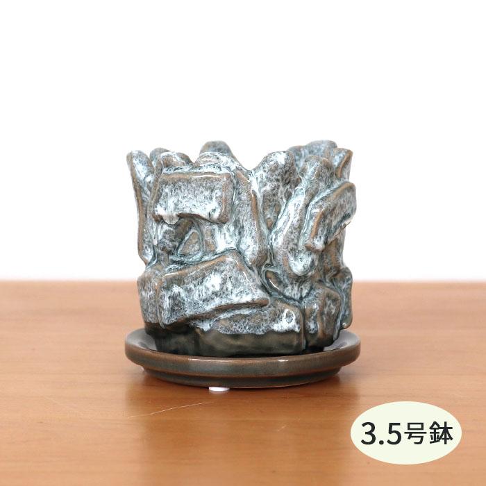 資 RY-3133 LVP 3.5号 ロックポット 受皿付 陶器 鉢 植木鉢 インテリア 多肉植物 おしゃれ 観葉植物 mrk : フラワーネット日本花キ流通 - 通販 - Yahoo!ショッピング