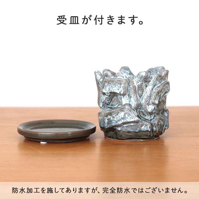 資 RY-3133 LVP 3.5号 ロックポット 受皿付 陶器 鉢 植木鉢 インテリア 多肉植物 おしゃれ 観葉植物 mrk : フラワーネット日本花キ流通 - 通販 - Yahoo!ショッピング