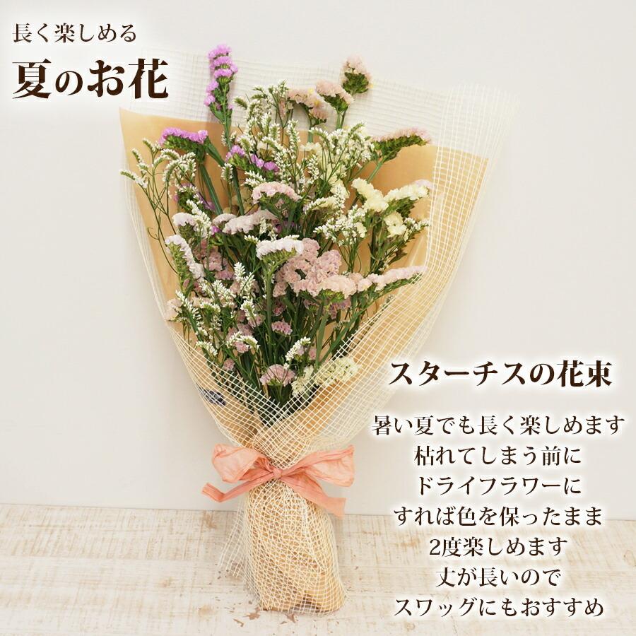 FLORAISON お中元 花 ドライフラワーになる スターチスロング FLORAISON お中元 花 ドライフラワーになる スターチスロング