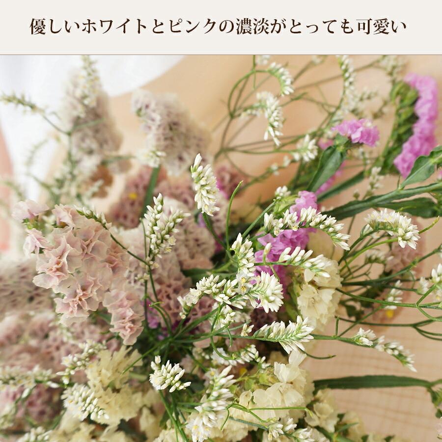 FLORAISON お中元 花 ドライフラワーになる スターチスロング FLORAISON お中元 花 ドライフラワーになる スターチスロング