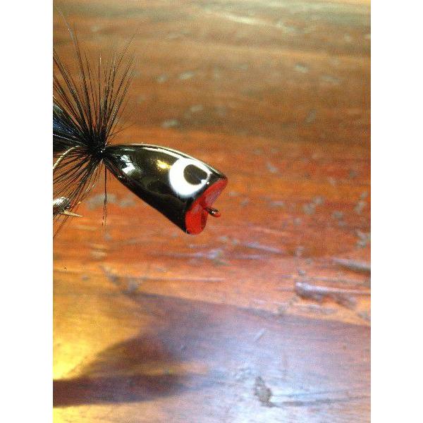 EM-BUG(エムバグ）ブラック : フライ02 - 通販 - Yahoo!ショッピング