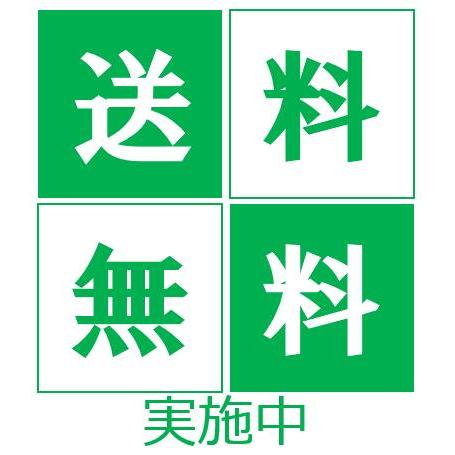 訳あり10個入 常備用カレー職人中辛 5年170g レトルトカレー :4901005206526-10:FOODReCO by BOOKOFFヤフー店 - 通販 - Yahoo!ショッピング