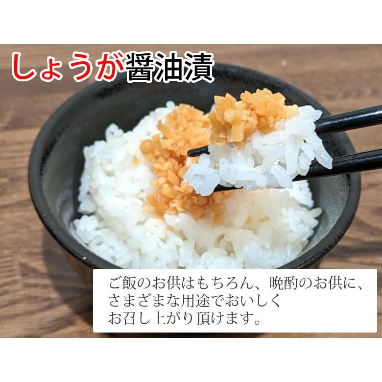 しょうが醤油漬け 国産 漬物 390g（130g×3袋） お取り寄せ お取り寄せグルメ 生姜 つけもの :y-shouga-p:Foody’s - 通販 - Yahoo!ショッピング