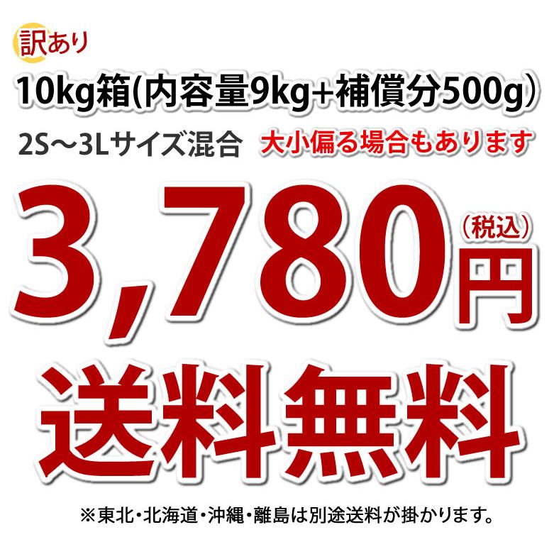 さつまいも 紅はるか 訳あり 10kg 箱込（内容量9kg＋補償分500g) 送料無料 無選別 べにはるか 熊本県産 サツマイモ 紅蜜芋 芋 いも : y-w-beni10kg : Foody ...