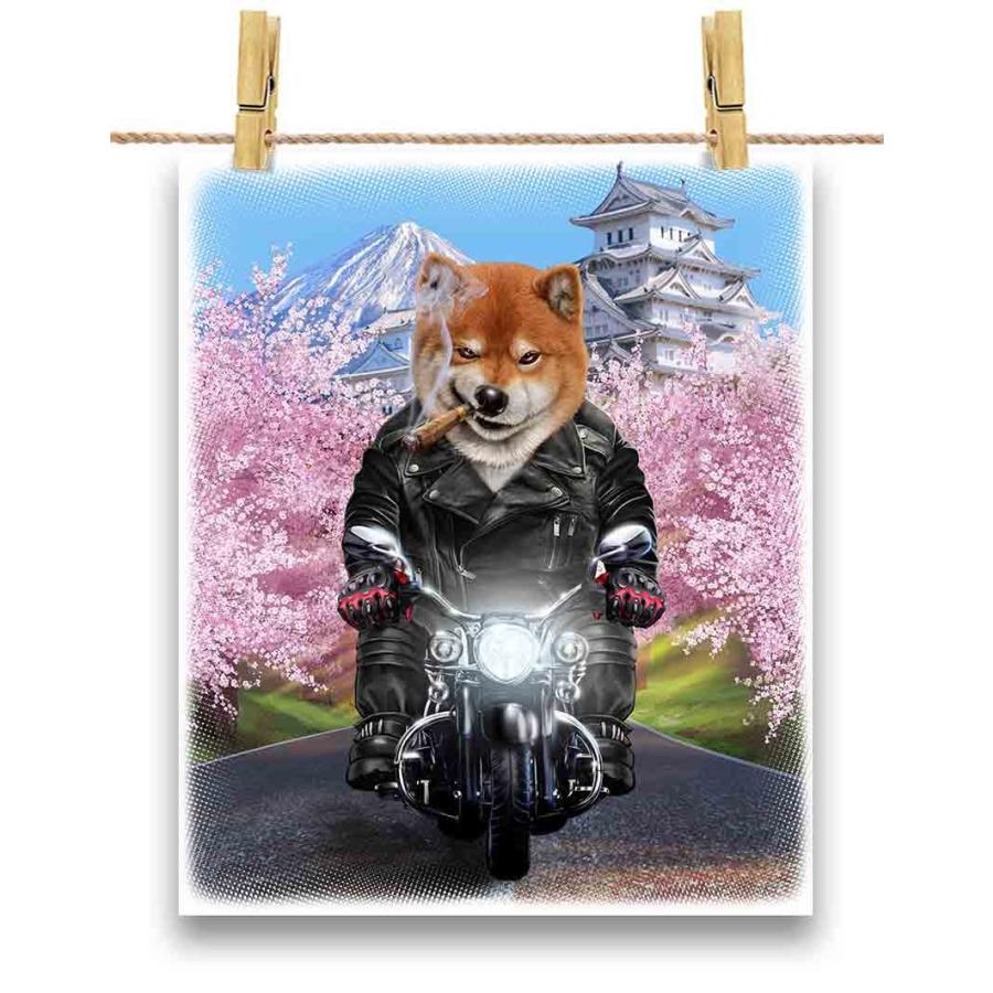 ワルな 柴犬 ドッグ 犬 いぬ バイク 桜 日本】ポストカード by ワルな 柴犬 ドッグ 犬 いぬ バイク 桜 日本】ポストカード by